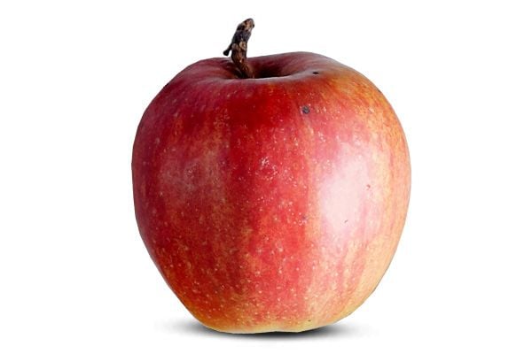Welke appels voor appeltaart? Dit is de top 4 | Albert Heijn