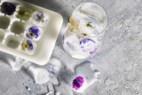 Eetbare bloemen: welke bloemen kan je eten? | Albert Heijn