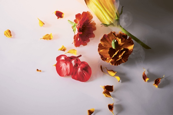 Eetbare bloemen: welke bloemen kan je eten? | Albert Heijn