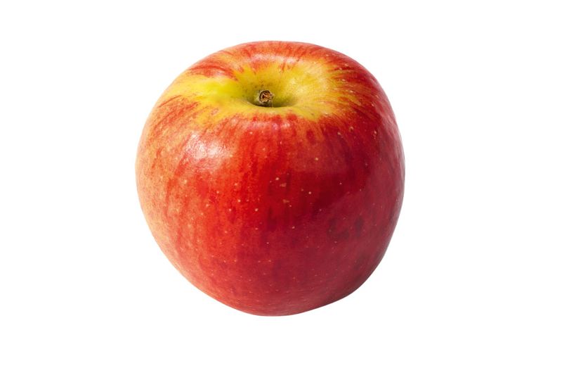 10x appelsoorten op een rij: van fuji tot elstar | Albert Heijn