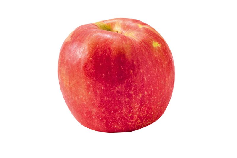 10x appelsoorten op een rij: van fuji tot elstar | Albert Heijn