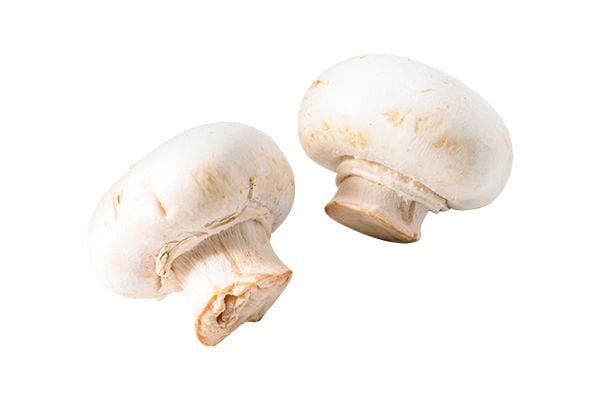 11x de bekendste paddenstoelensoorten | Albert Heijn