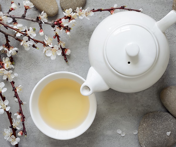 Witte thee: we vertellen je er alles over | Albert Heijn