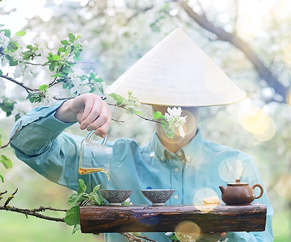 Witte thee: we vertellen je er alles over | Albert Heijn