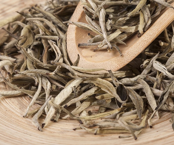 Witte thee: we vertellen je er alles over | Albert Heijn