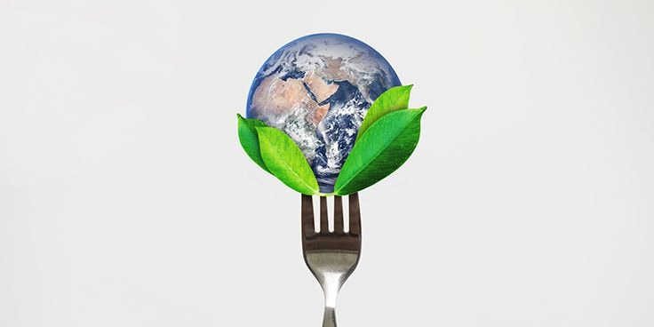 Duurzaamheid | Albert Heijn