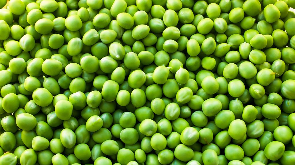 Doperwten: handige bewaartips en recept inspiratie | Albert Heijn