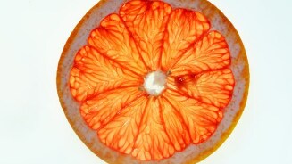 11x de meest gegeten citrusvruchten | Albert Heijn