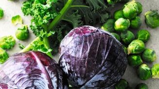 Start je eigen moestuin | Albert Heijn