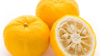 Yuzu: alles wat je moet weten | Albert Heijn