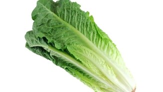 Slasoorten: de 5 populairste op een rij | Albert Heijn