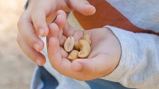 Notenallergie: wat is het en hoe eet je veilig? | Albert Heijn