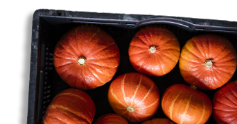 6x bekende pompoensoorten: allemaal eetbaar? | Albert Heijn