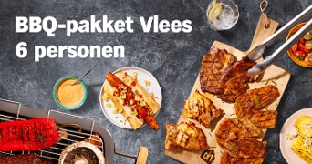 BBQ-pakket bestellen: vlees, vis of vega | Albert Heijn
