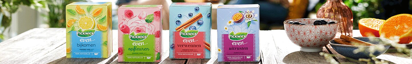 Pickwick producten bestellen | Albert Heijn