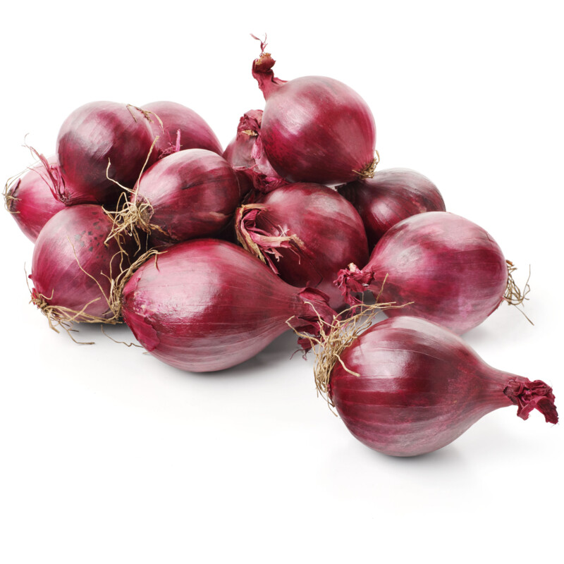 AH Rode uien bestellen | Albert Heijn