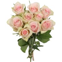 AH Rozen bestellen | Albert Heijn