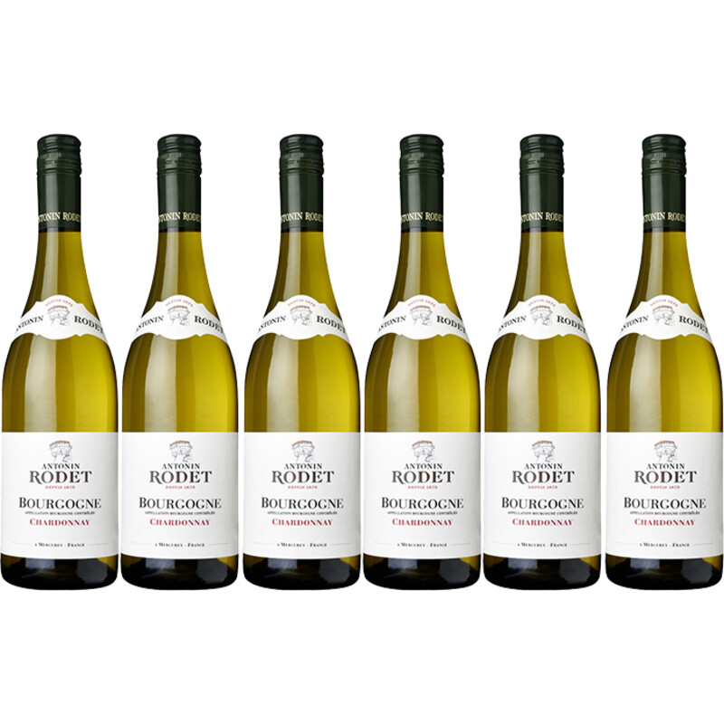 Antonin Rodet Bourgogne chardonnay 6 flessen bestellen | Albert Heijn