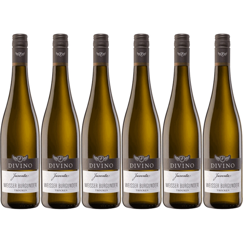 Divino Juventa weissburgunder 6 flessen bestellen | Albert Heijn