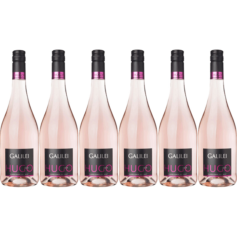 Galileo Galilei Hugo rosé 6 flessen bestellen | Albert Heijn