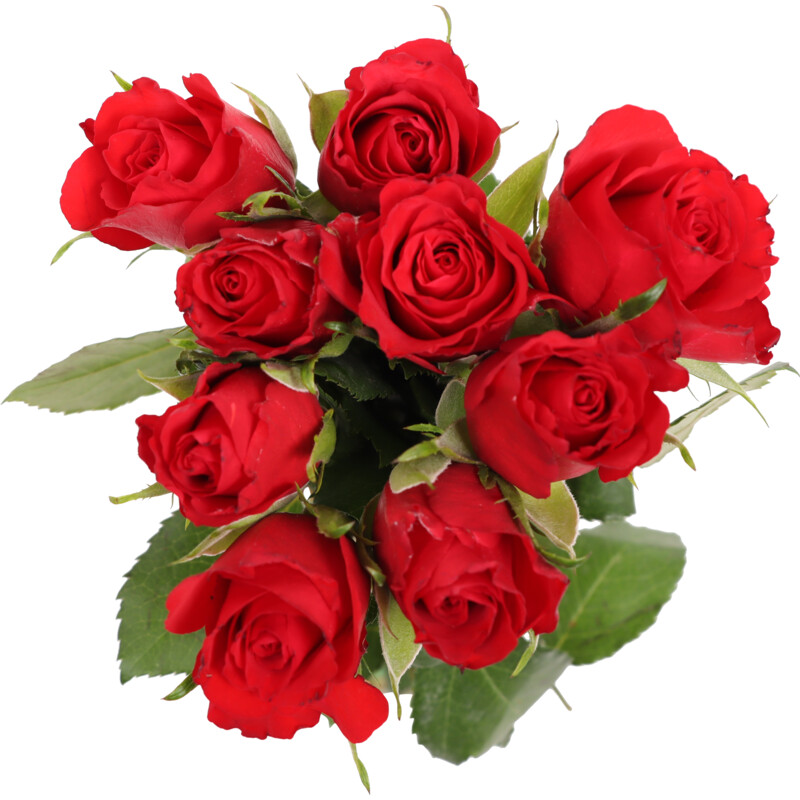 AH Rozen bestellen | Albert Heijn