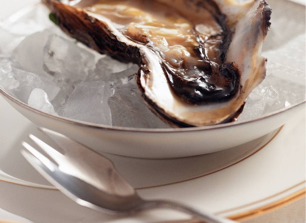 Pikante oester recept - Allerhande | Albert Heijn