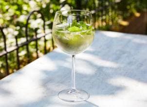 Fresh fizz recept - Allerhande | Albert Heijn